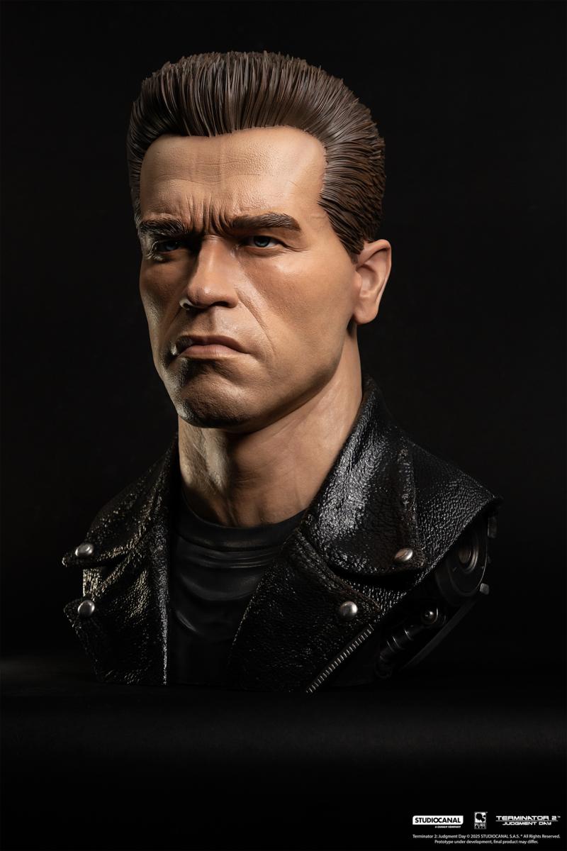 Terminator 2 Art Mask T-800 Model 101 1/1 Masque Collector Arnold ...